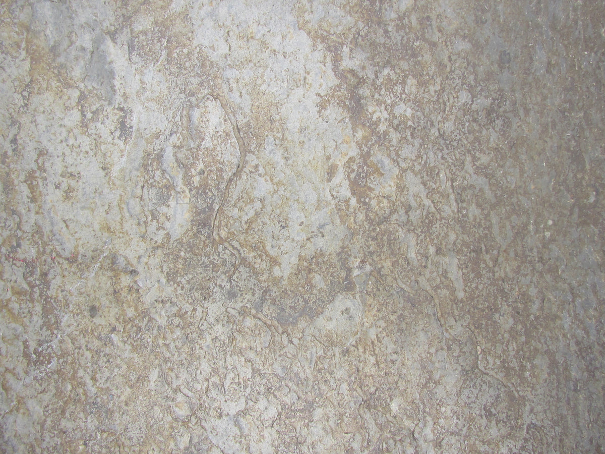 50:50 Coconut/Canola Bars – Pine & Bedford Soap